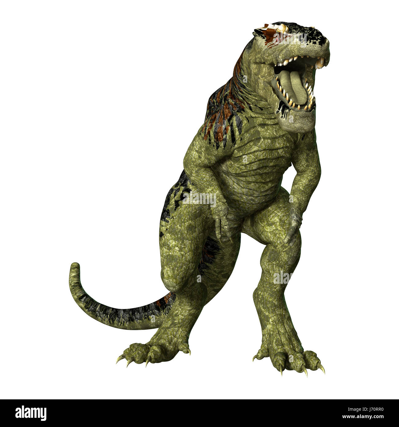 3D rendering of a dinosaur Tyrannosaurus Rex isolated on white ...