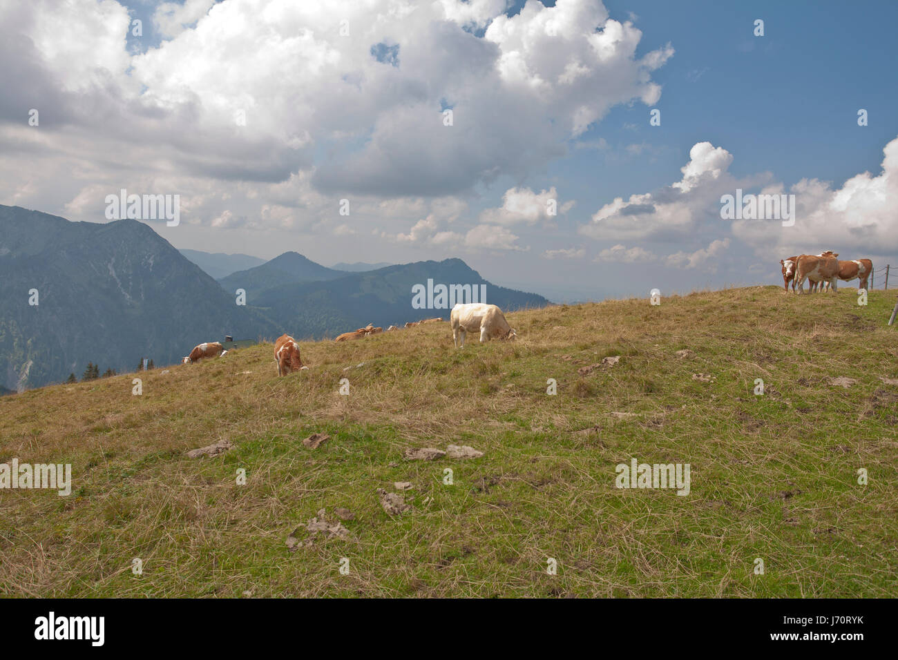 alps bavaria mountain scenery countryside nature landscapes ...