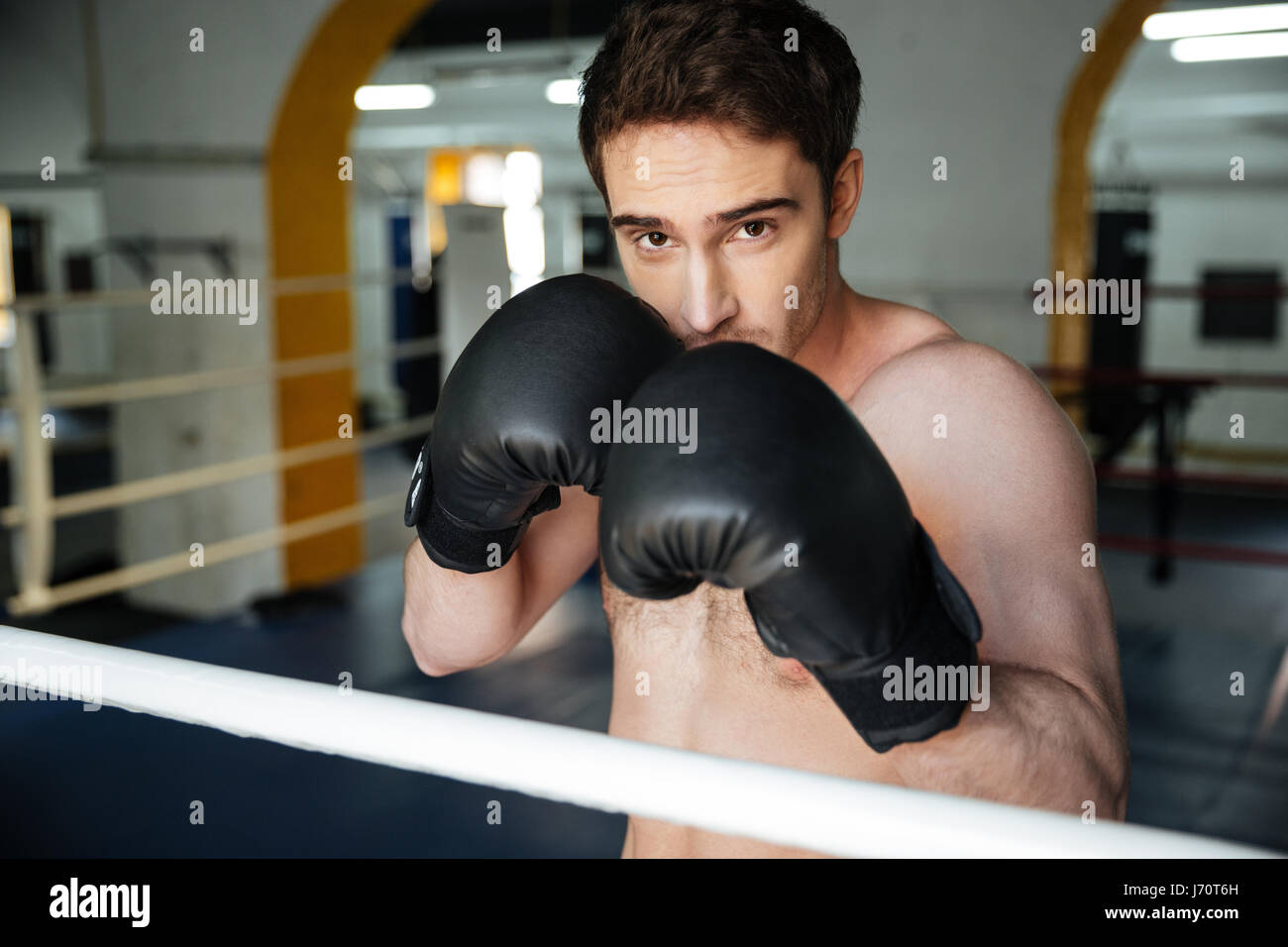 Portrait of man boxer holding raised fists in gloves in gym Stock Photo ...