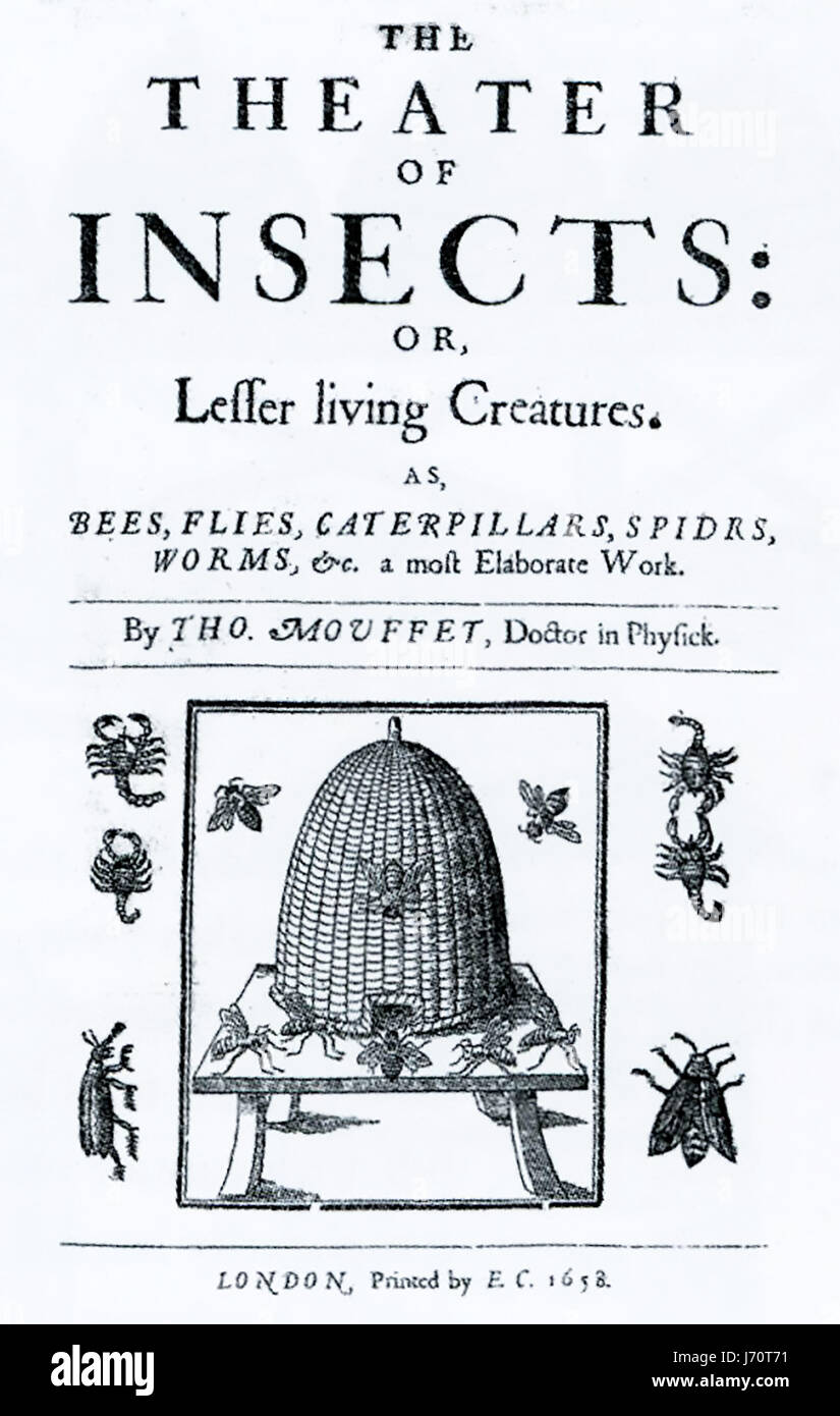 EDWARD WOOTON (1492-1555) English physician and co-author of The ...