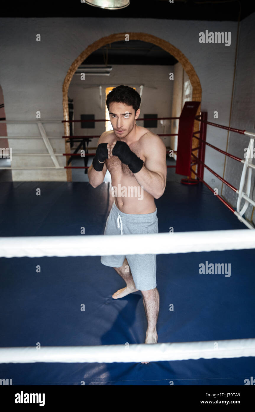 Man boxer wearing boxing gloves looking camera ans posing on a ring ...