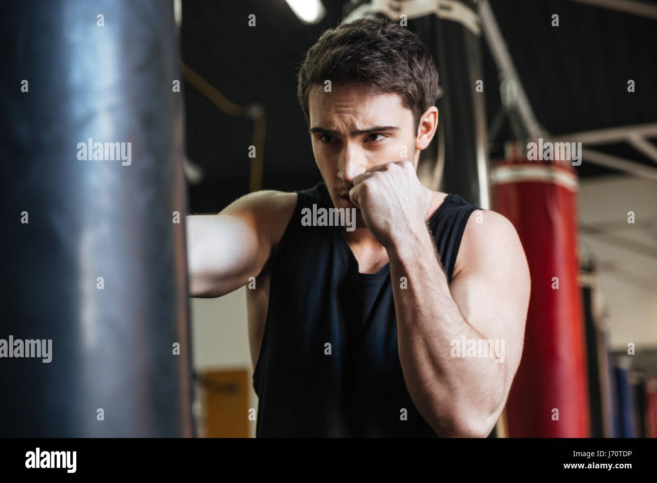 Boxer in punching pose hi-res stock photography and images - Alamy