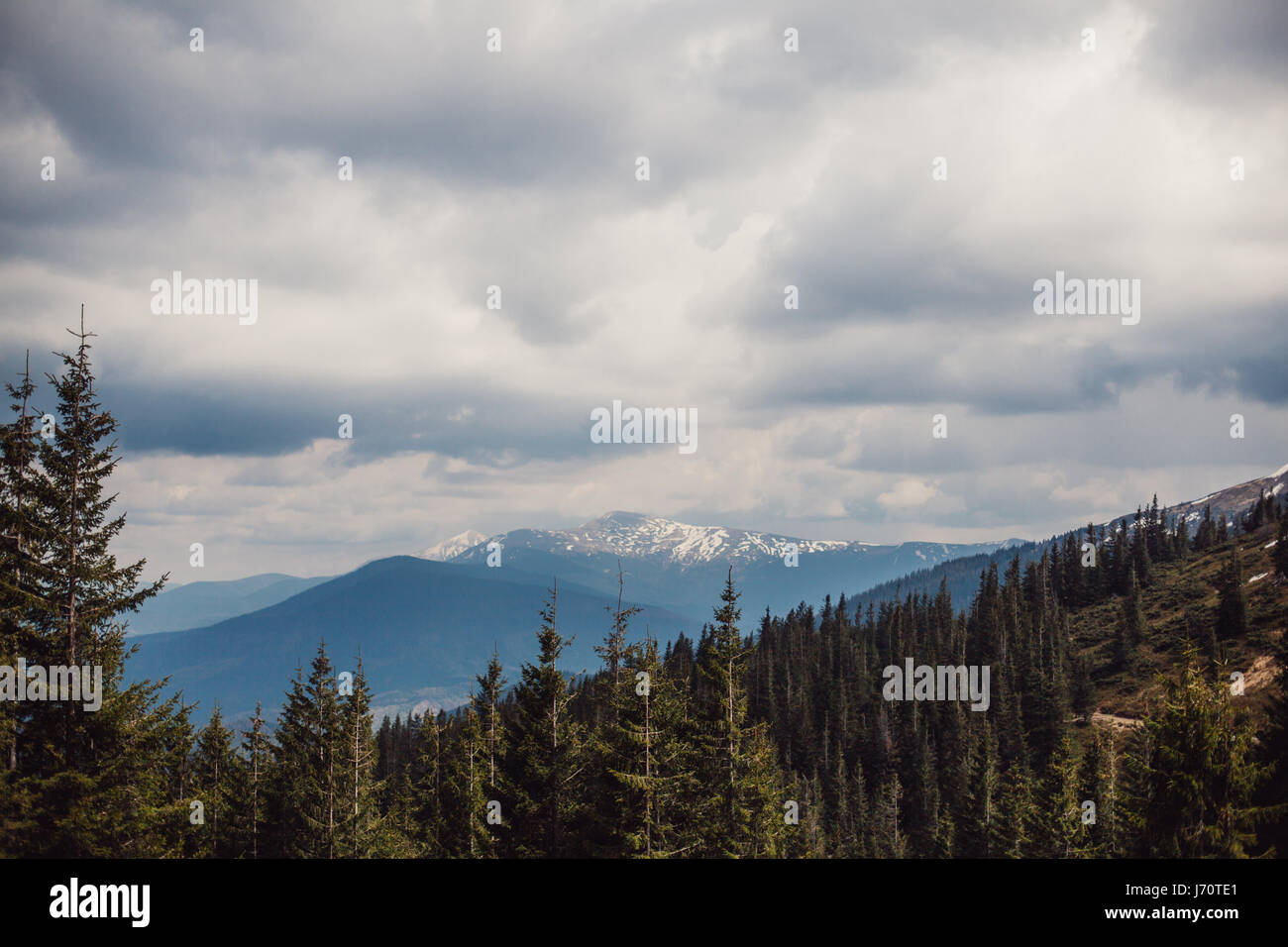 landscape in mountains Carpathians Ukraine, Dragobrat Horizontal image ...