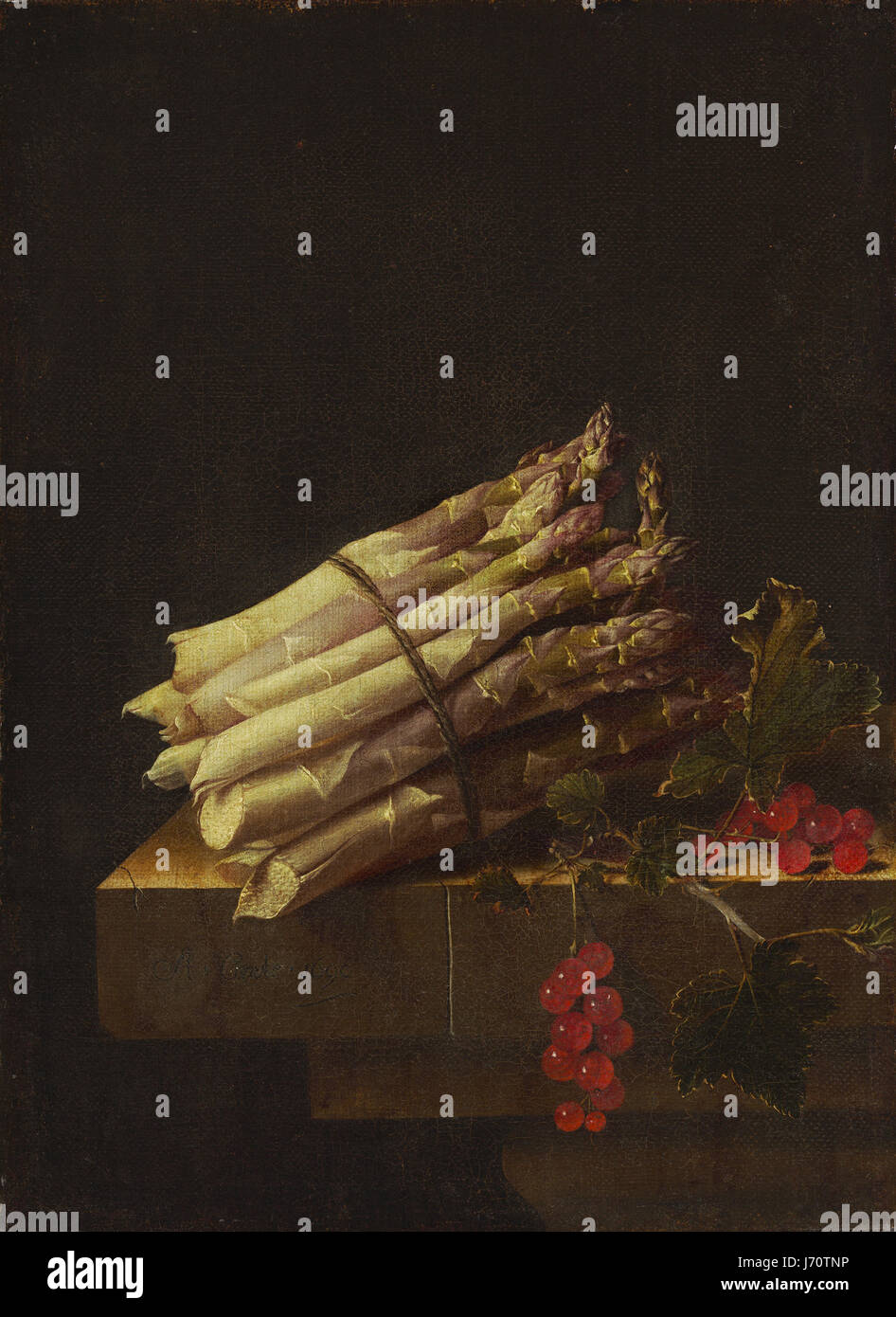 Adriaen coorte hi-res stock photography and images - Alamy