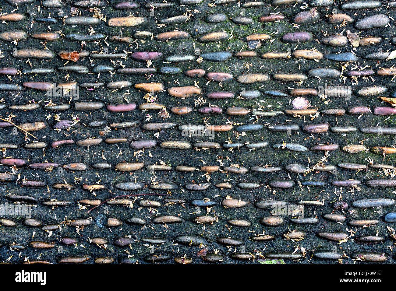 Pebble pebbles path pavement hi-res stock photography and images - Alamy