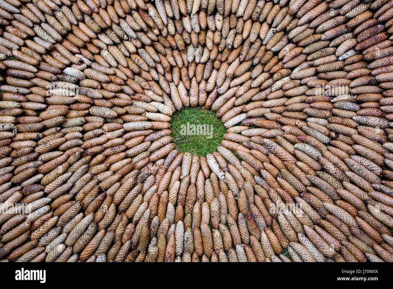 circle tap meadow grass lawn green art moss order circle sort sort out ...