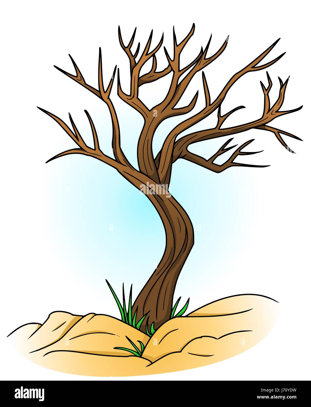 tree branches branch sparse stinted plant fall autumn insalubrious ...