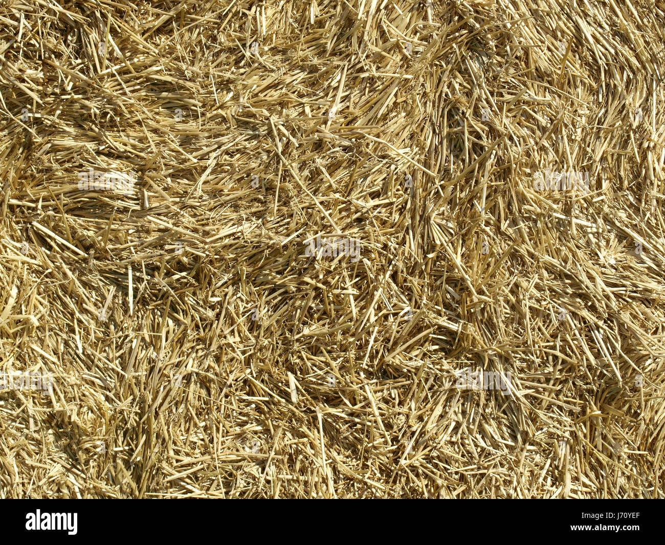 agriculture farming field cultivation nature natural straw brown ...