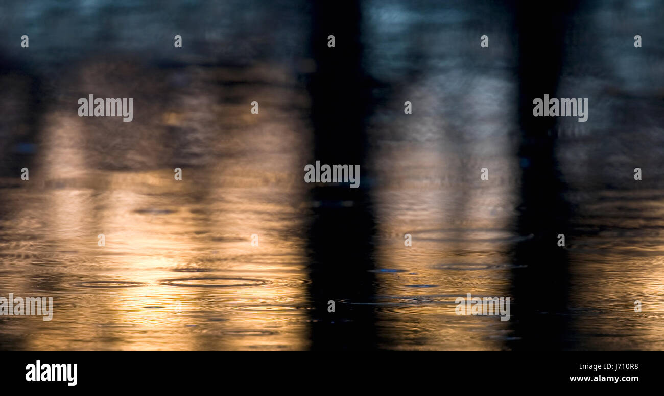 blue tree trees raindrop counter-light flood orange shine shines bright ...
