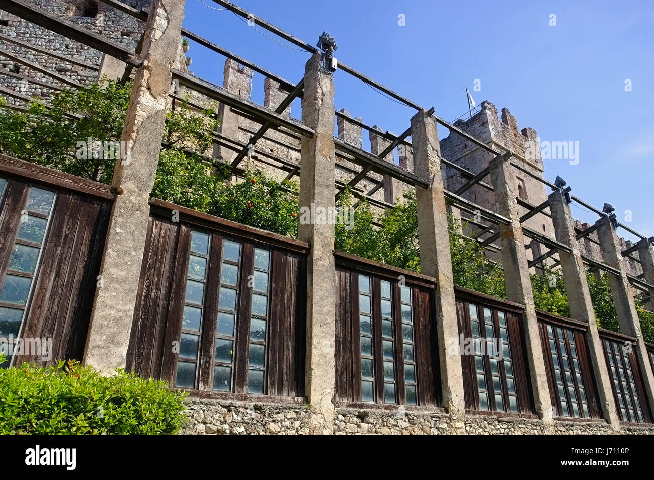 Torri del Benaco lemon garden on Lake Garda in Italy Stock Photo - Alamy