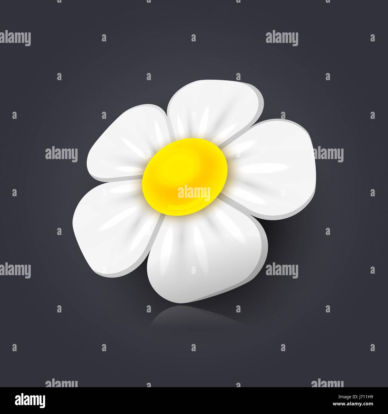 Chamomile icon hi-res stock photography and images - Alamy