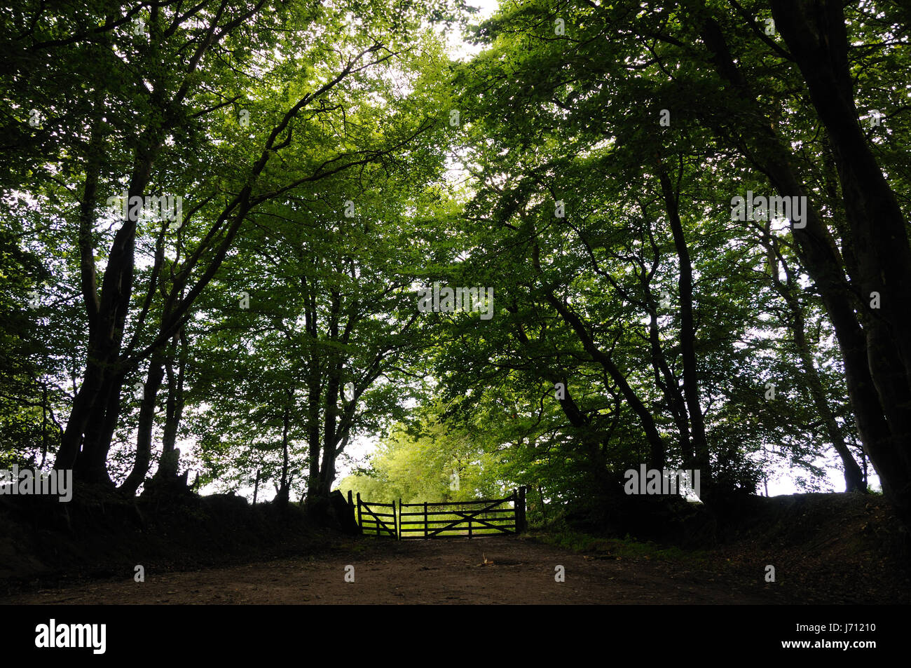 Foot gantry hi-res stock photography and images - Alamy