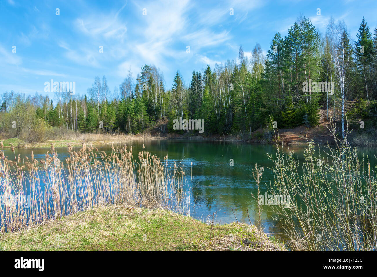 Beautiful small forest lake in the may Sunny day Stock Photo - Alamy