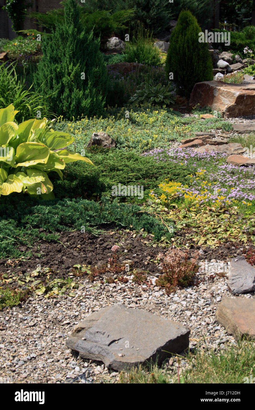 humans human beings people folk persons human human being walk go going ...