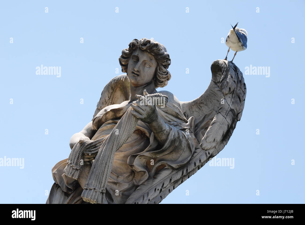 Angel holding bird hi-res stock photography and images - Alamy