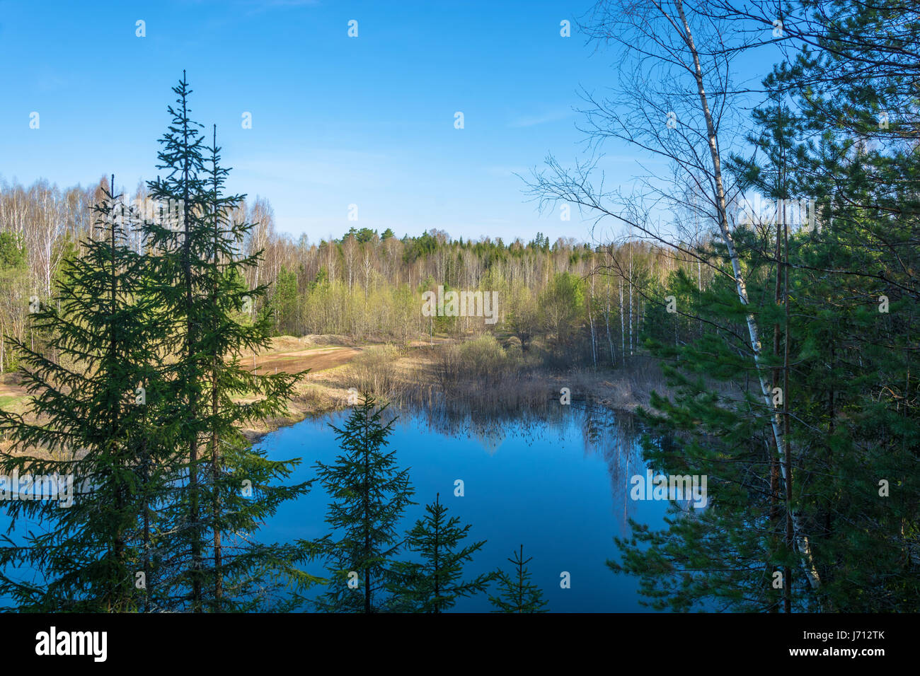 Beautiful small forest lake in the may Sunny day Stock Photo - Alamy