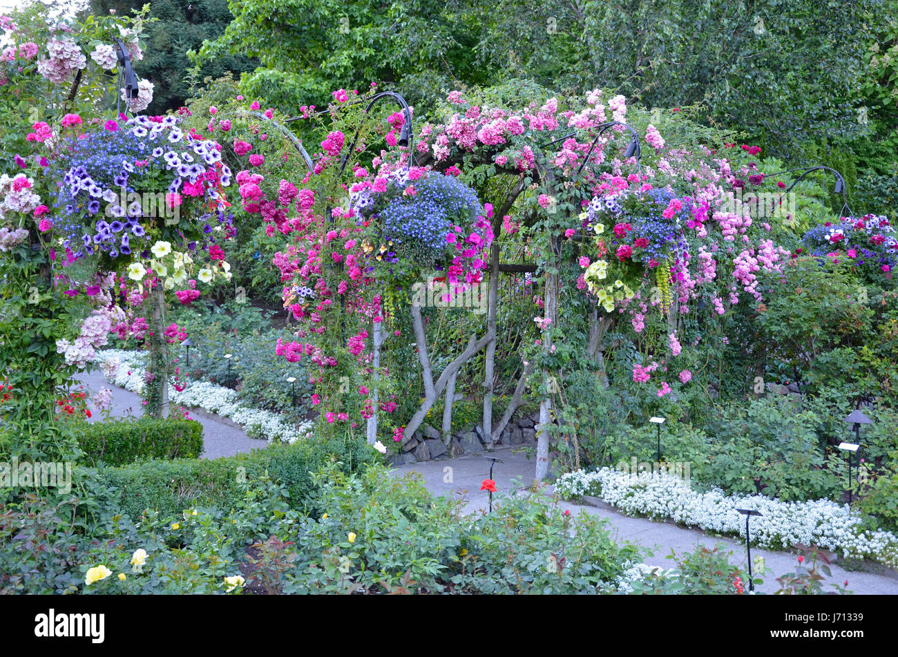 Colorful summer garden pathway with rose covered arch Stock Photo - Alamy