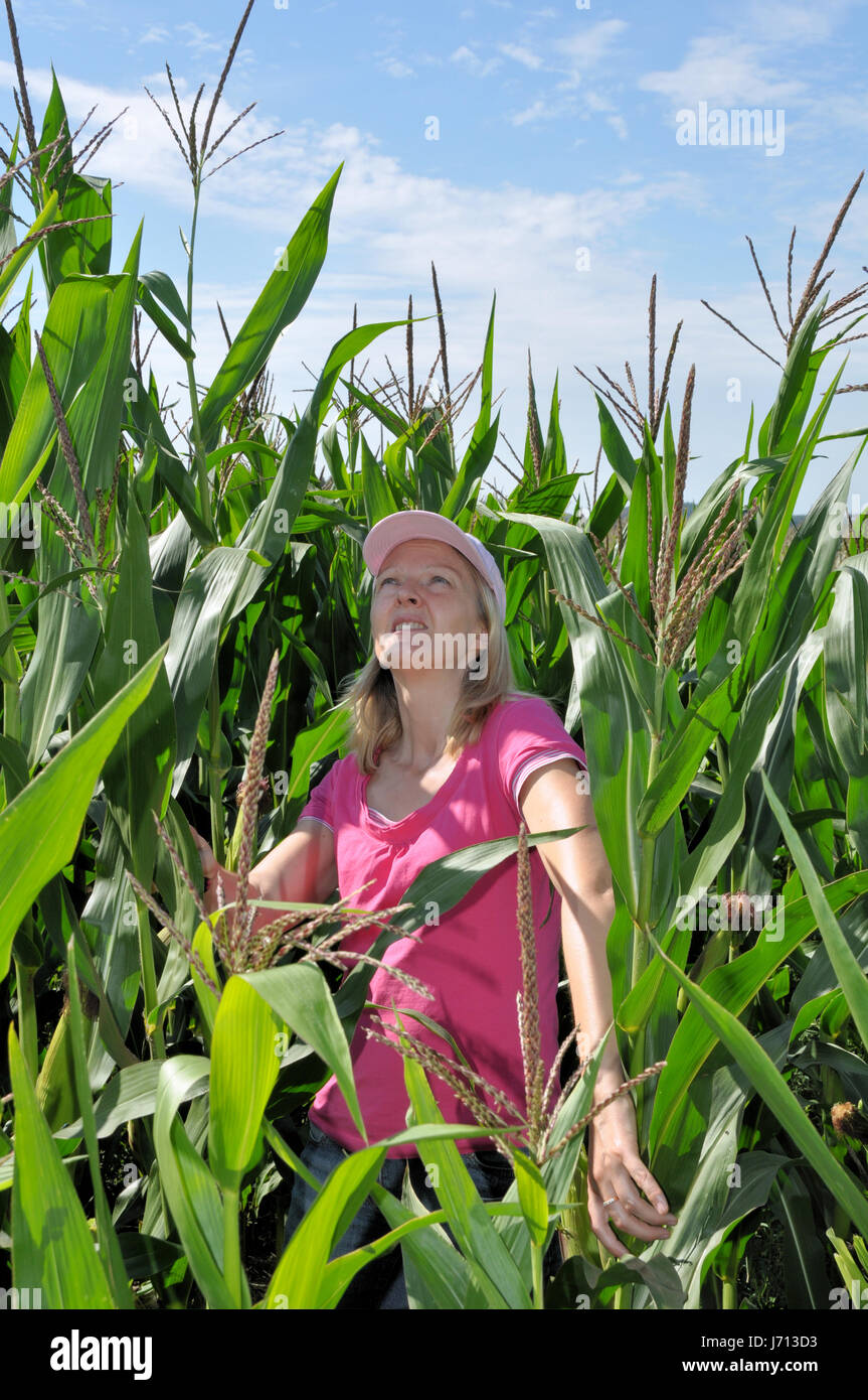 woman in corn field Stock Photo - Alamy
