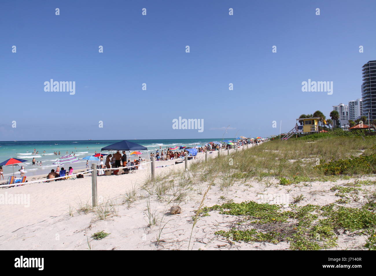 beach seaside the beach seashore sandy beach dream beach sands sand ...