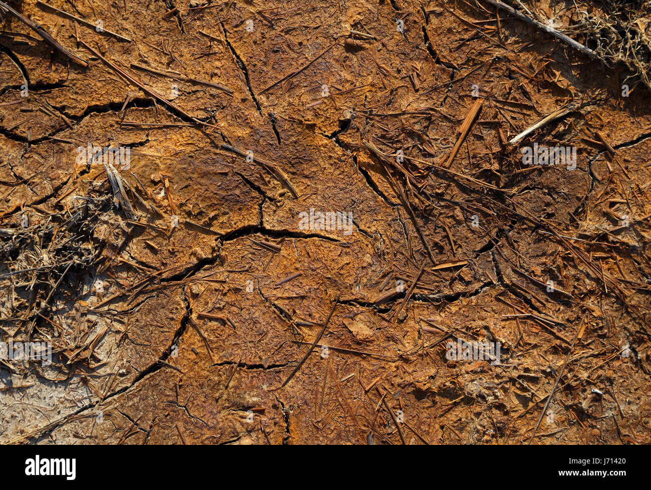 Abstract red soil background. Land with dried fertilizers Stock Photo ...