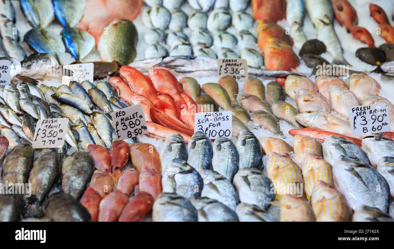 Fresh fish on ice, displayed for sale Stock Photo - Alamy