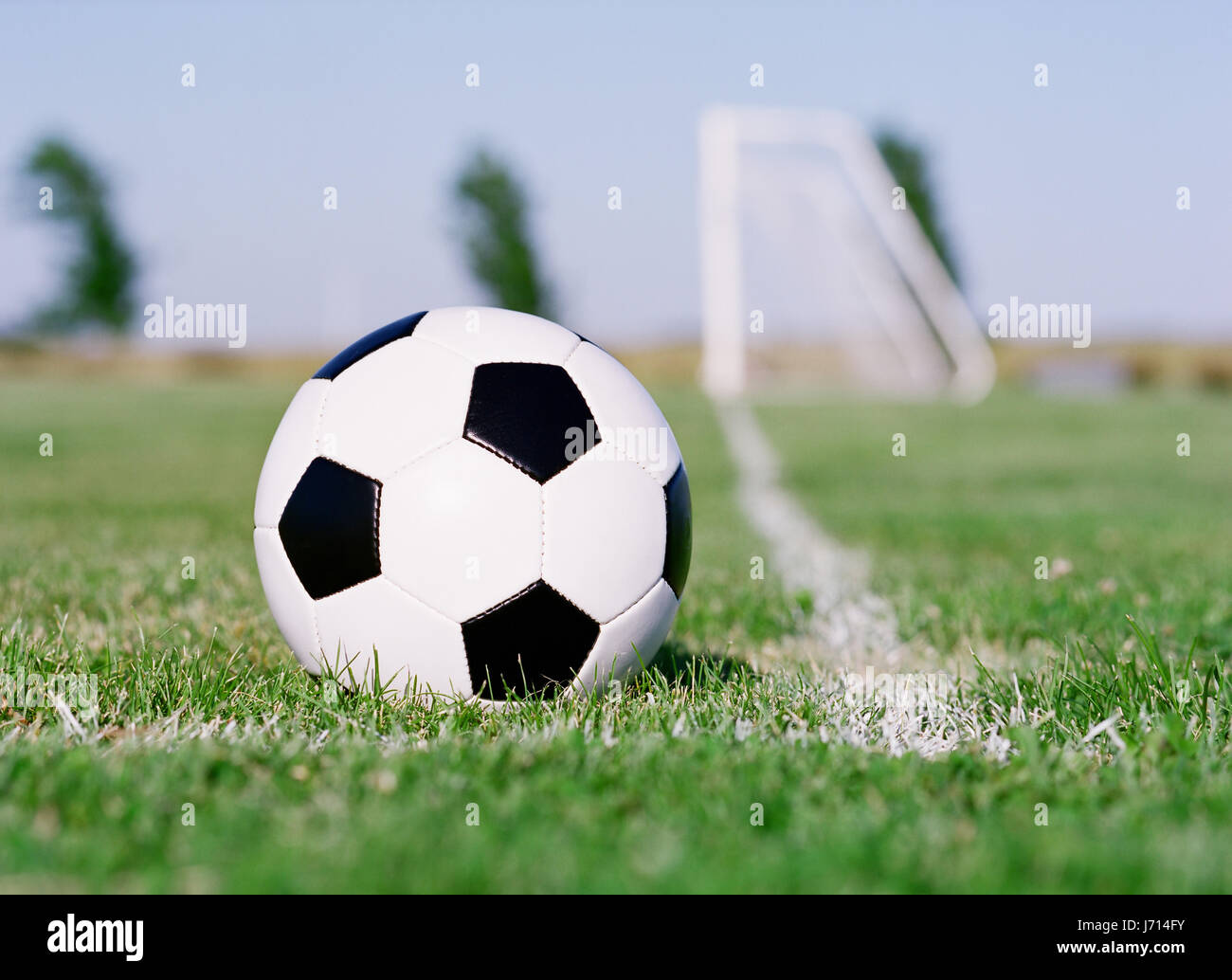 game tournament play playing plays played ball goal passage gate ...