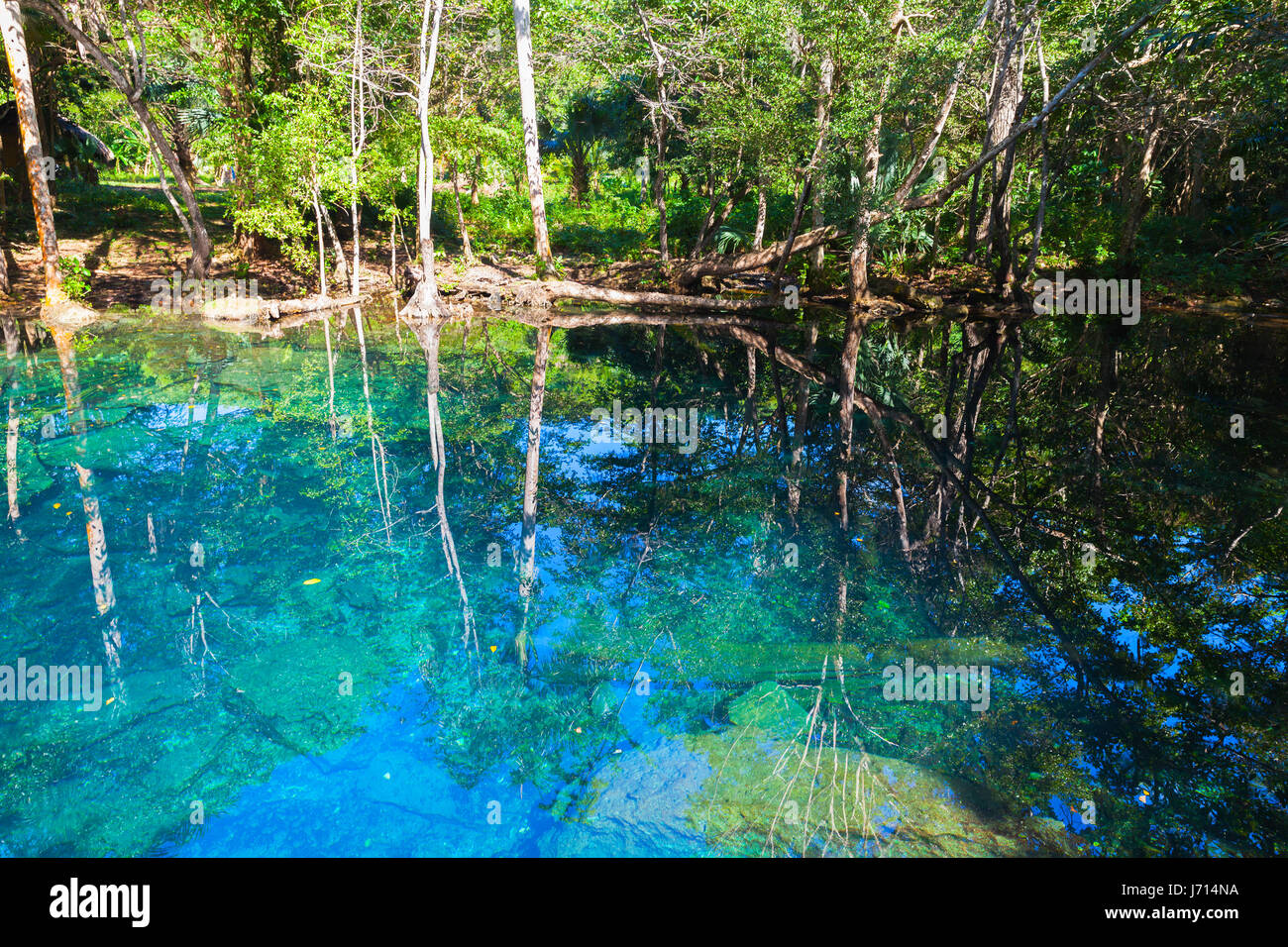 Still blue lake in forest, landscape of Dominican Republic Stock Photo ...