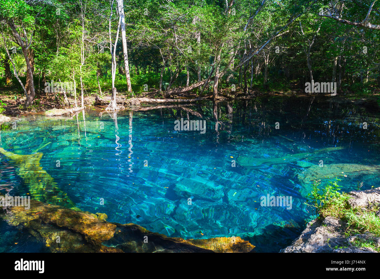 Still blue lake in wild forest, natural landscape of Dominican Republic ...
