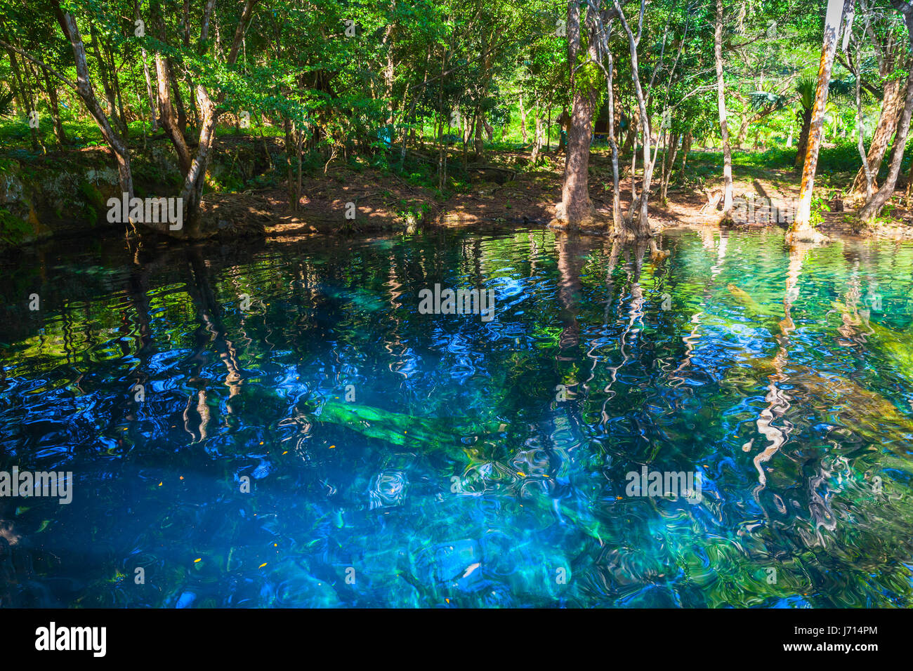 Still blue lake in tropical forest, natural landscape of Dominican ...