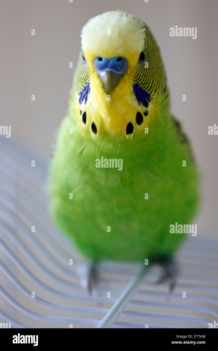 have a look Stock Photo - Alamy