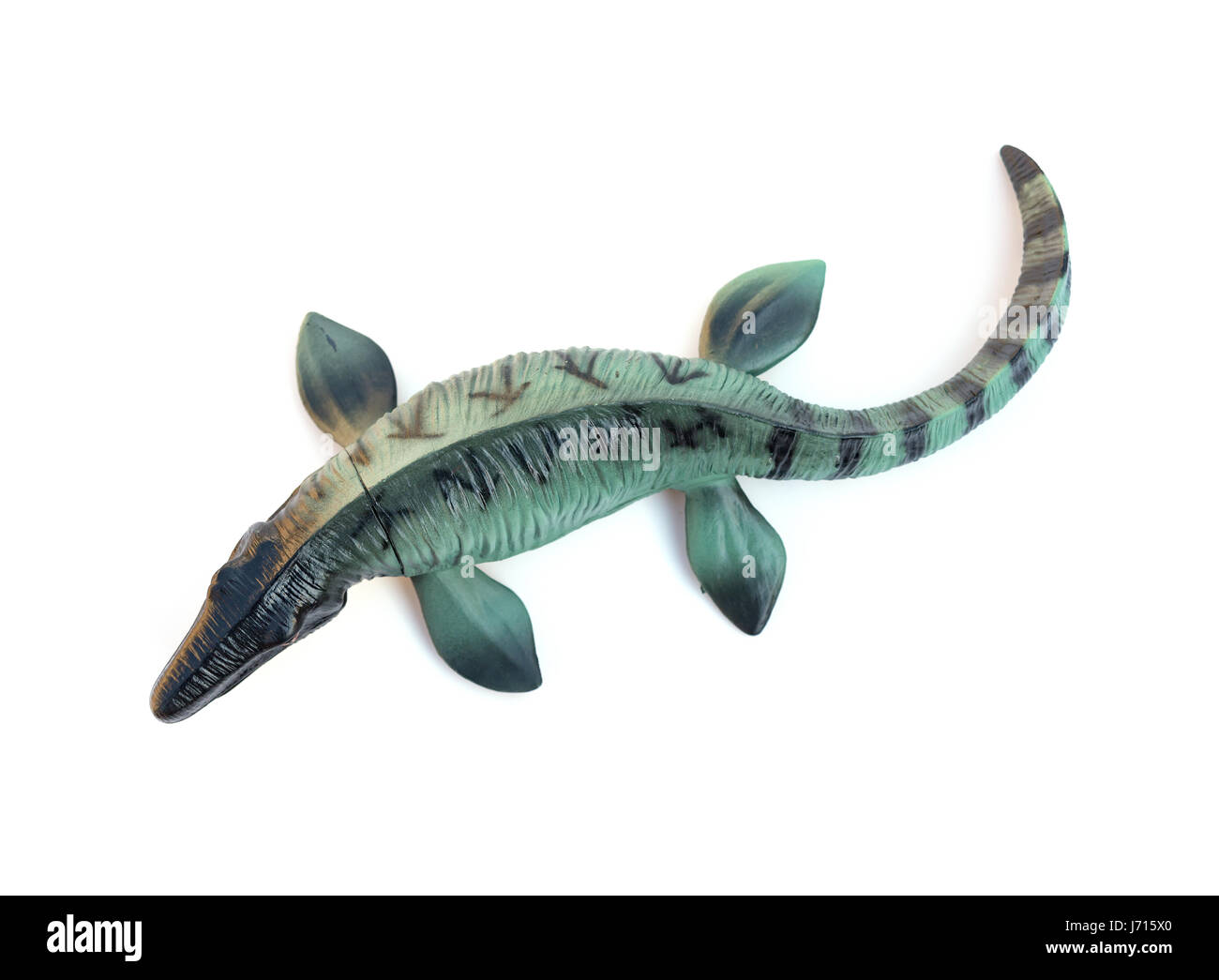 Mosasaurus Cut Out Stock Images & Pictures - Alamy