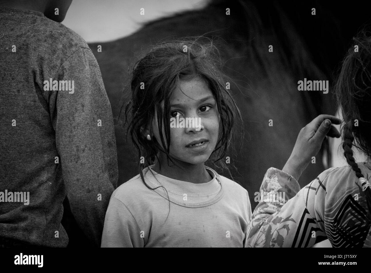 Nomad tribes in Bavanat area, Fars Province, Iran Stock Photo - Alamy