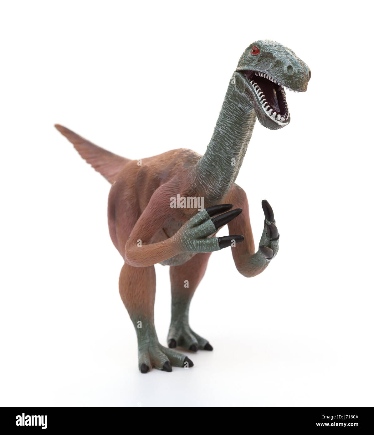 nothronychus toy on a white background Stock Photo - Alamy