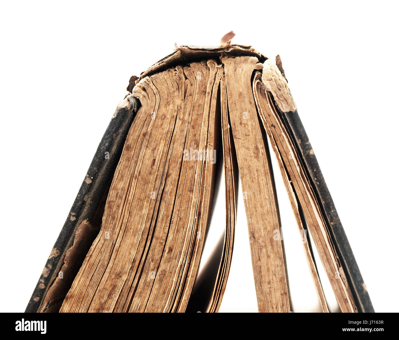 antique aged spine old shabby book study object education art model ...