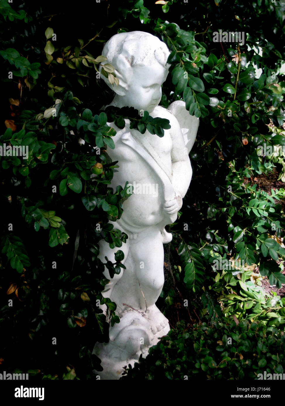 garden angel angels decoration gardens childlike detail park garden ...