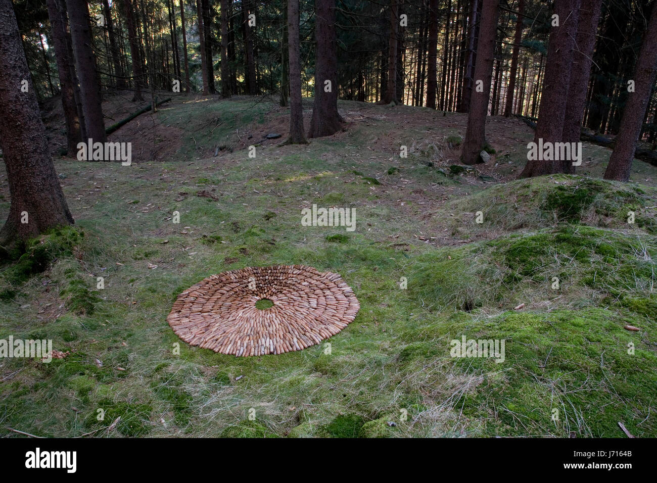 circle tap thick art tree trees order circle senses sort sort out tap ...