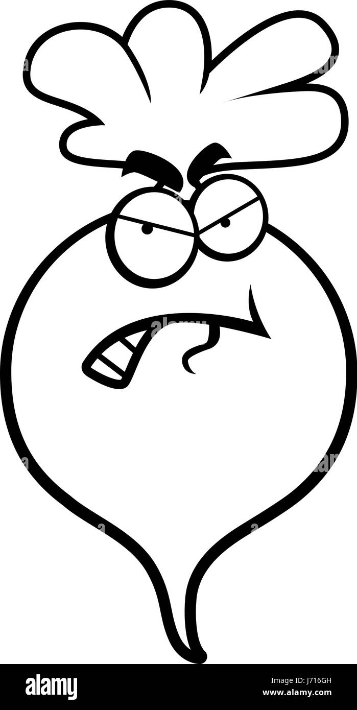 Radish red Black and White Stock Photos & Images - Alamy