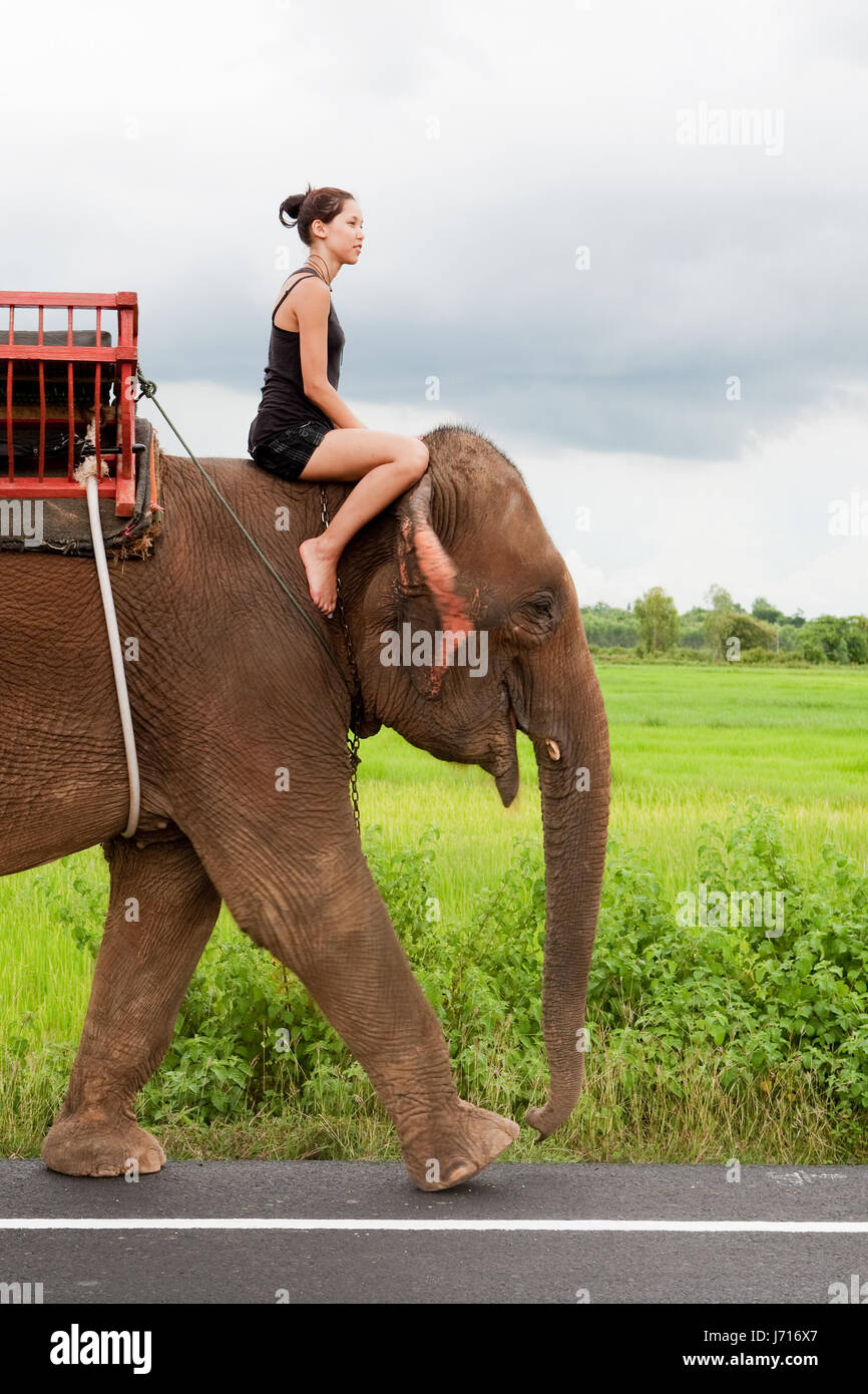 Girl riding an elephant hi-res stock photography and images - Alamy