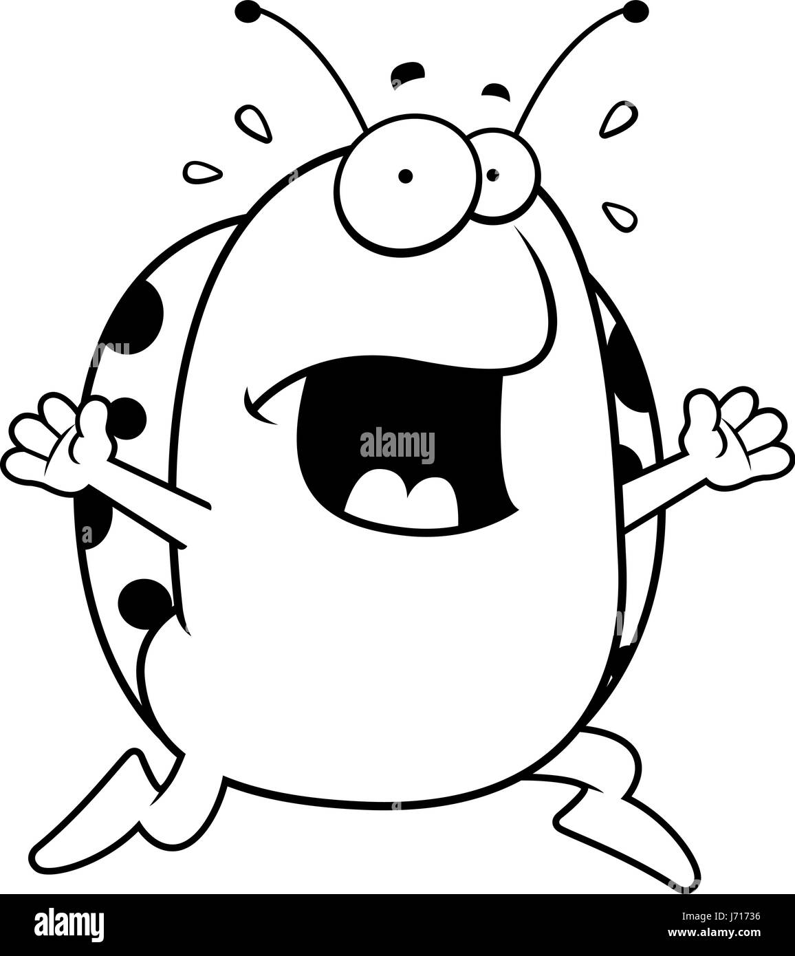 Vector ladybug in cartoon Stock Vector Images - Alamy