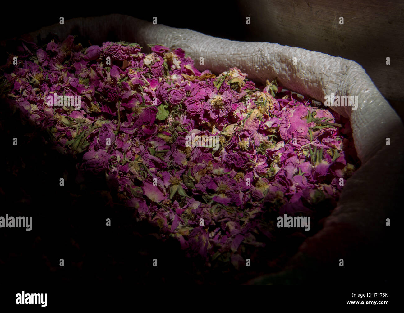 Iran tea rose hi-res stock photography and images - Alamy