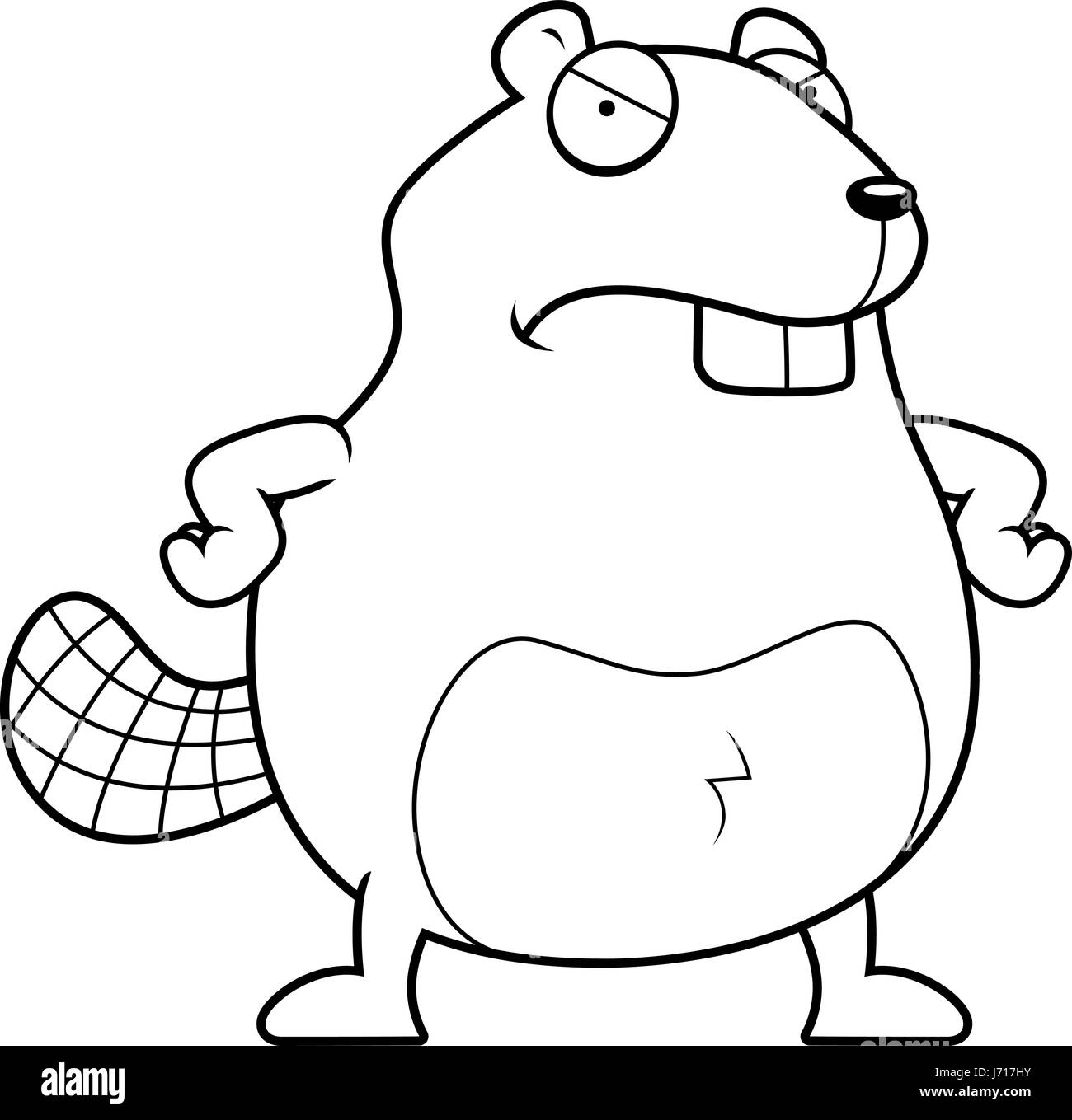 A cartoon beaver with an angry expression Stock Vector Image & Art - Alamy
