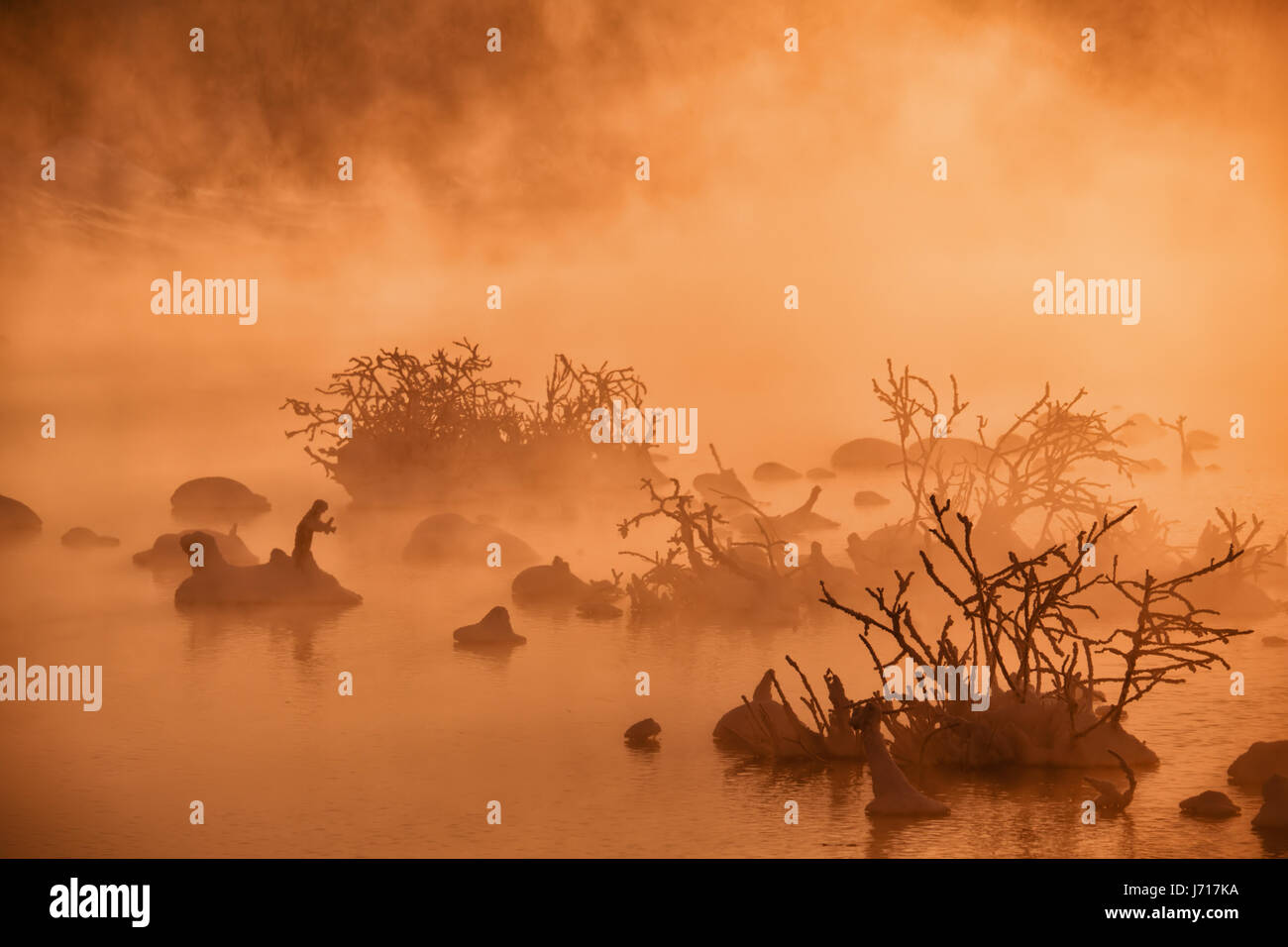 Snags in river water early hi-res stock photography and images - Alamy