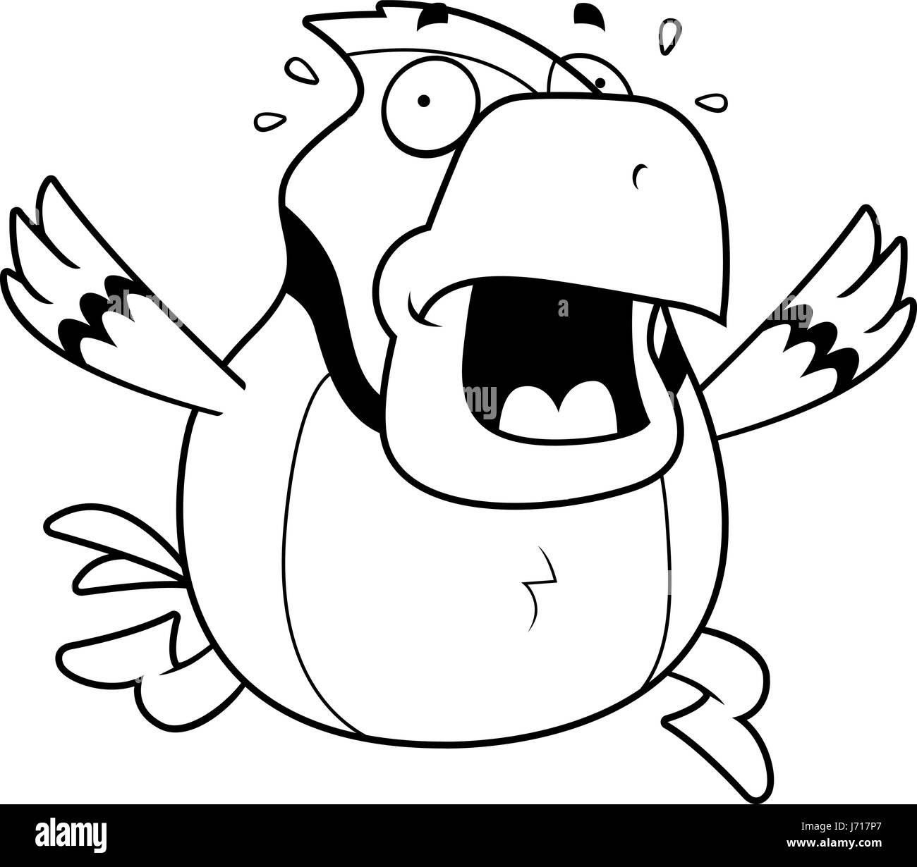 Blue jay bird in Black and White Stock Photos & Images - Alamy