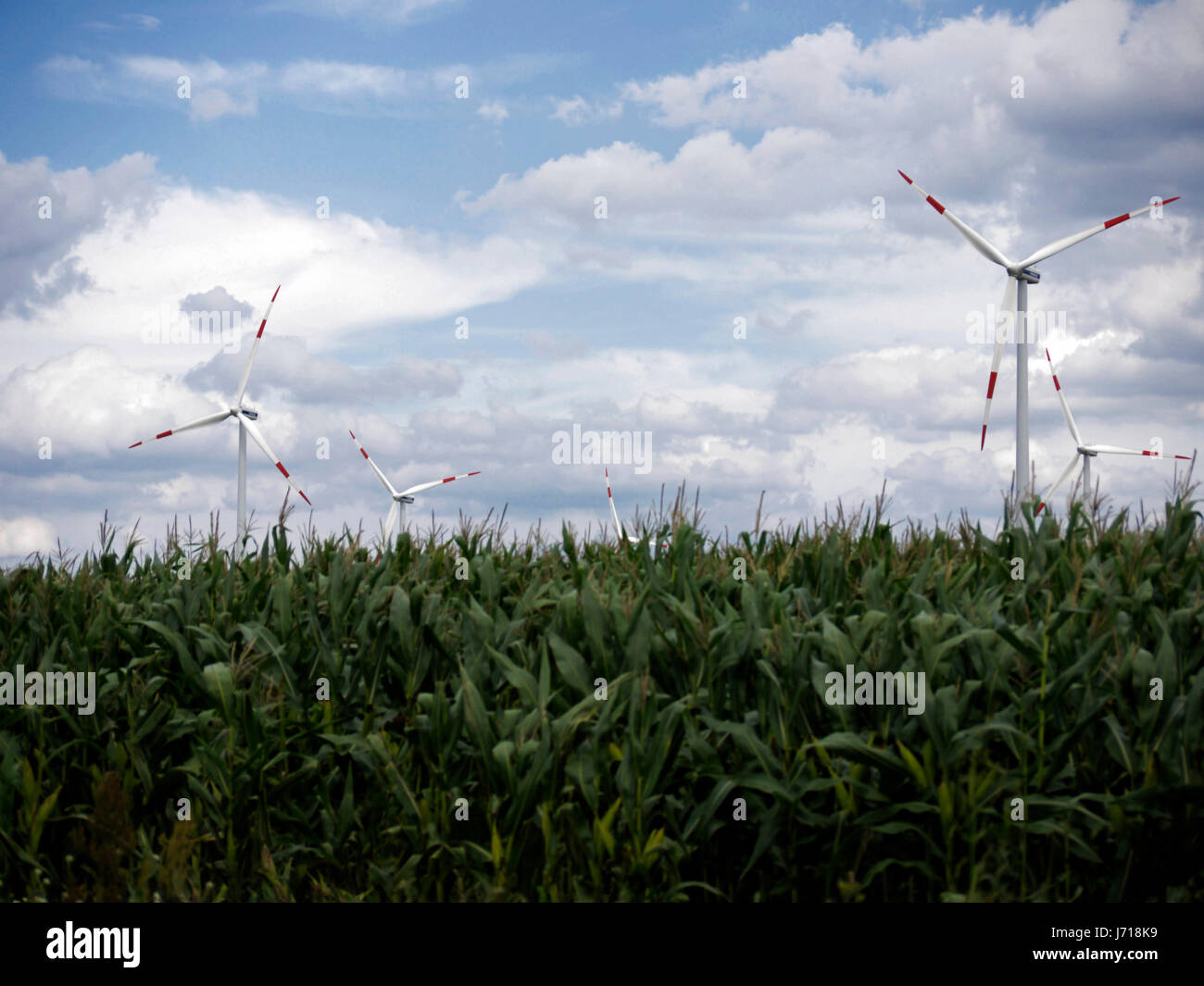 agriculture farming energy power electricity electric power wind energy ...