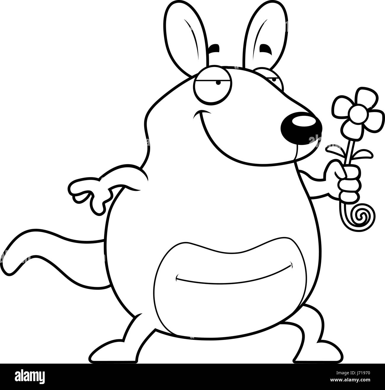 A cartoon wallaby with a flower Stock Vector Image & Art - Alamy