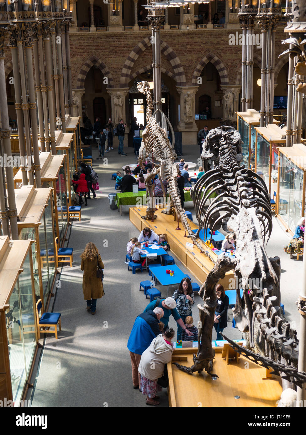 Skeltons hi-res stock photography and images - Alamy