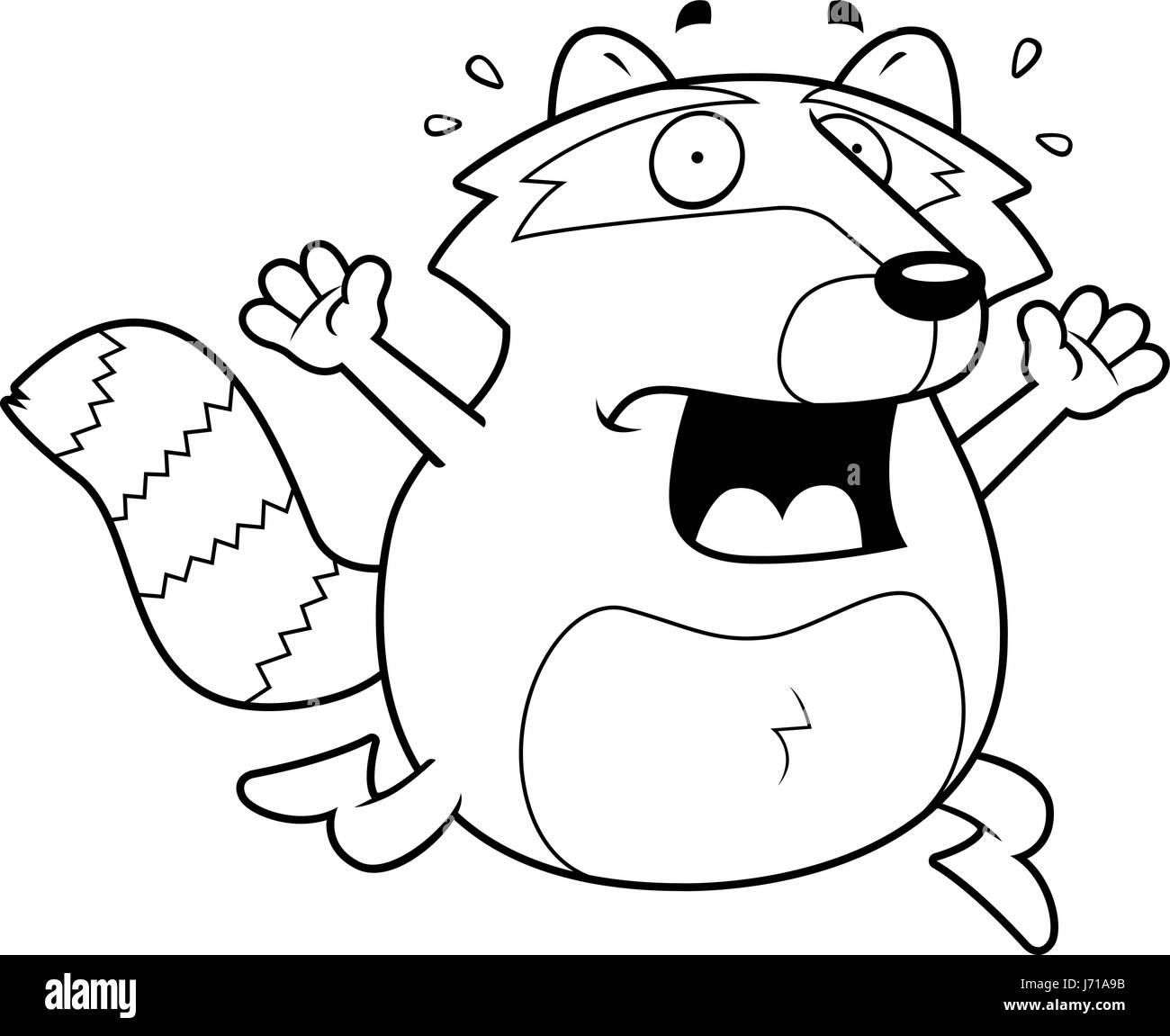 A cartoon raccoon running in a panic Stock Vector Image & Art - Alamy