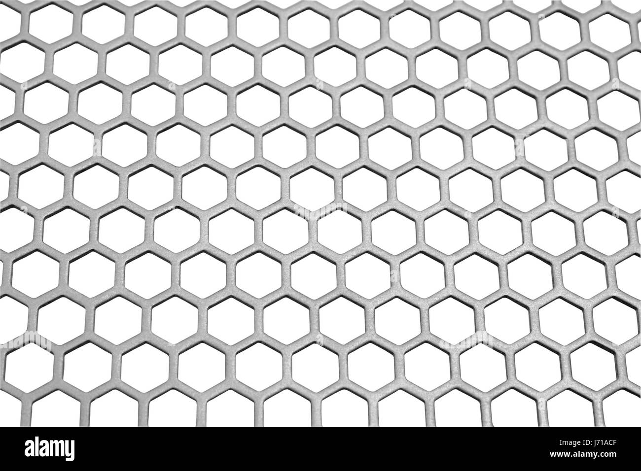 Cell Plate Formation High Resolution Stock Photography and Images - Alamy