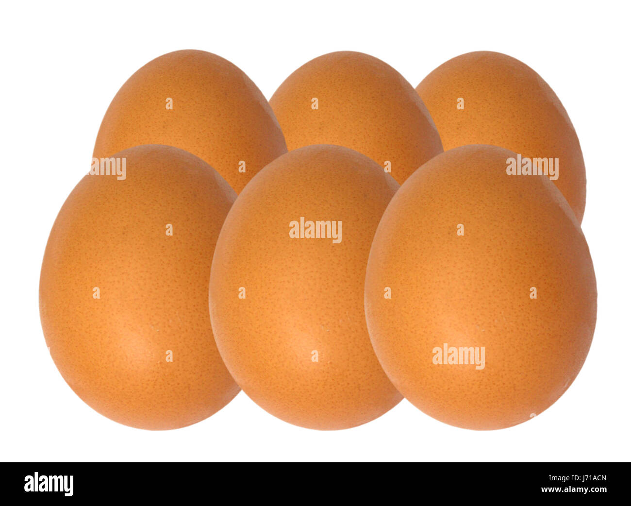 food aliment agriculture farming biological farm egg dairy breakfeast ...