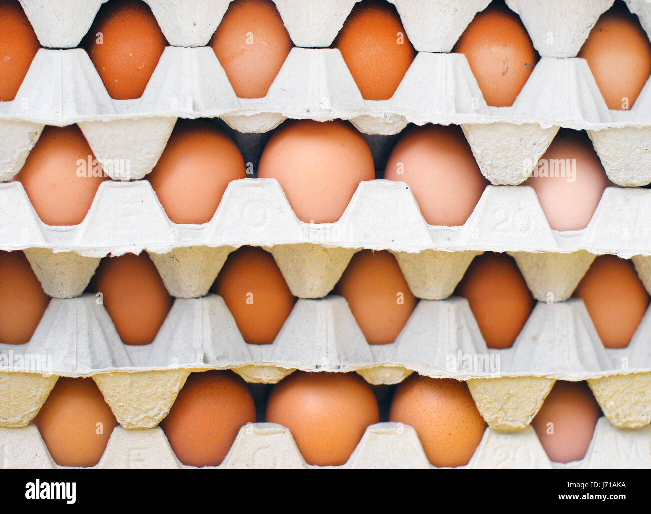 sale egg farm cardboard carton palette pallet eggshell grade fresh ...